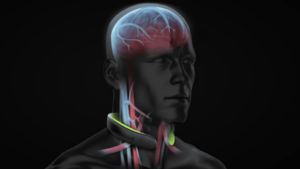 The Q-Collar Explained: Could a Necklace Prevent Concussions? – OneResearch